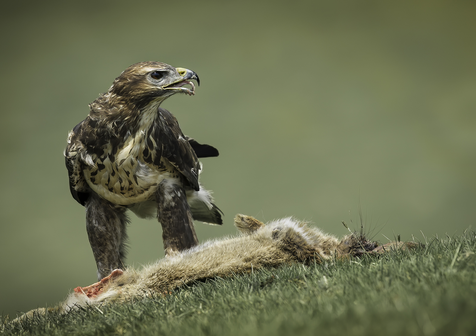 Staffs Print Battle 2022 - Stafford Photographic Society